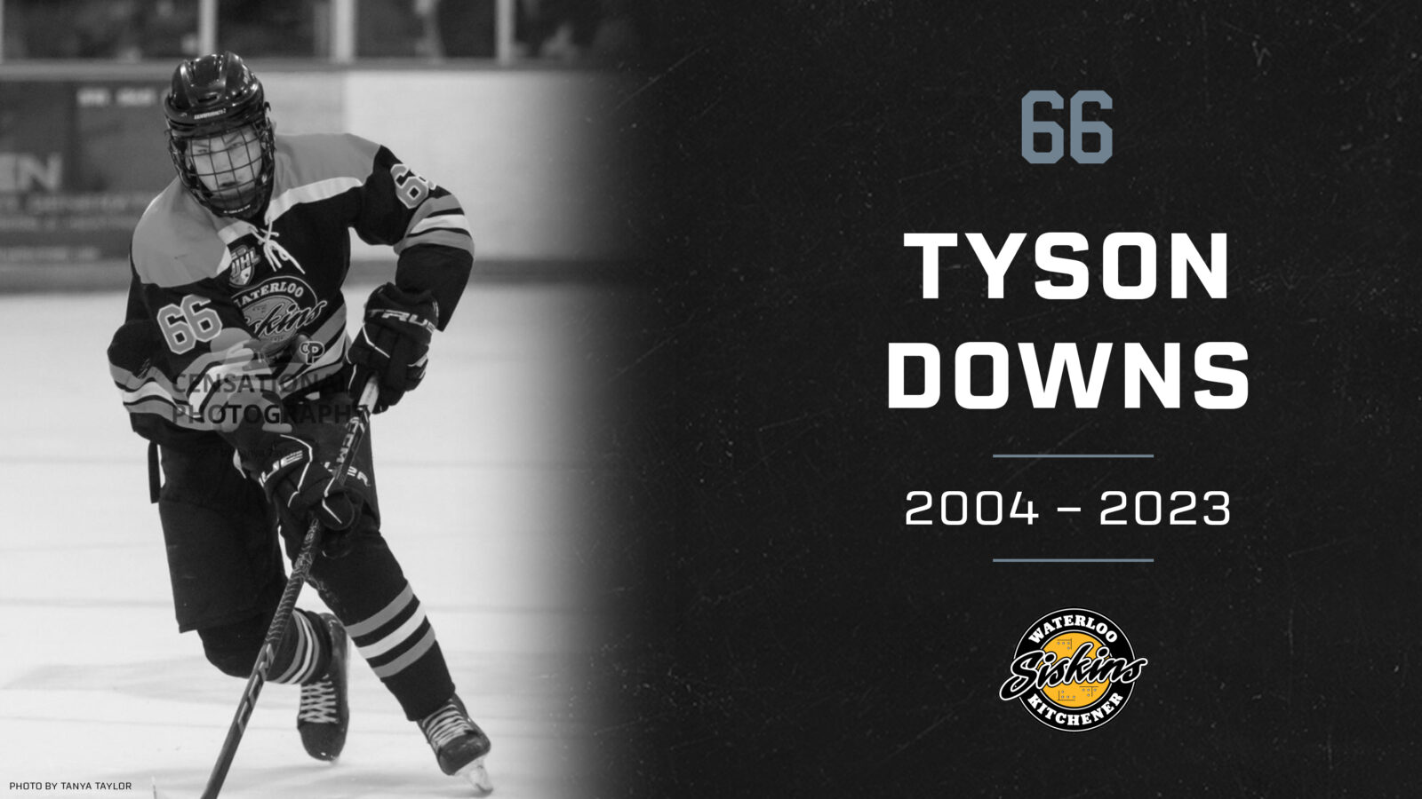Kitchener-Waterloo Siskins Release Statement on the Passing of Tyson ...