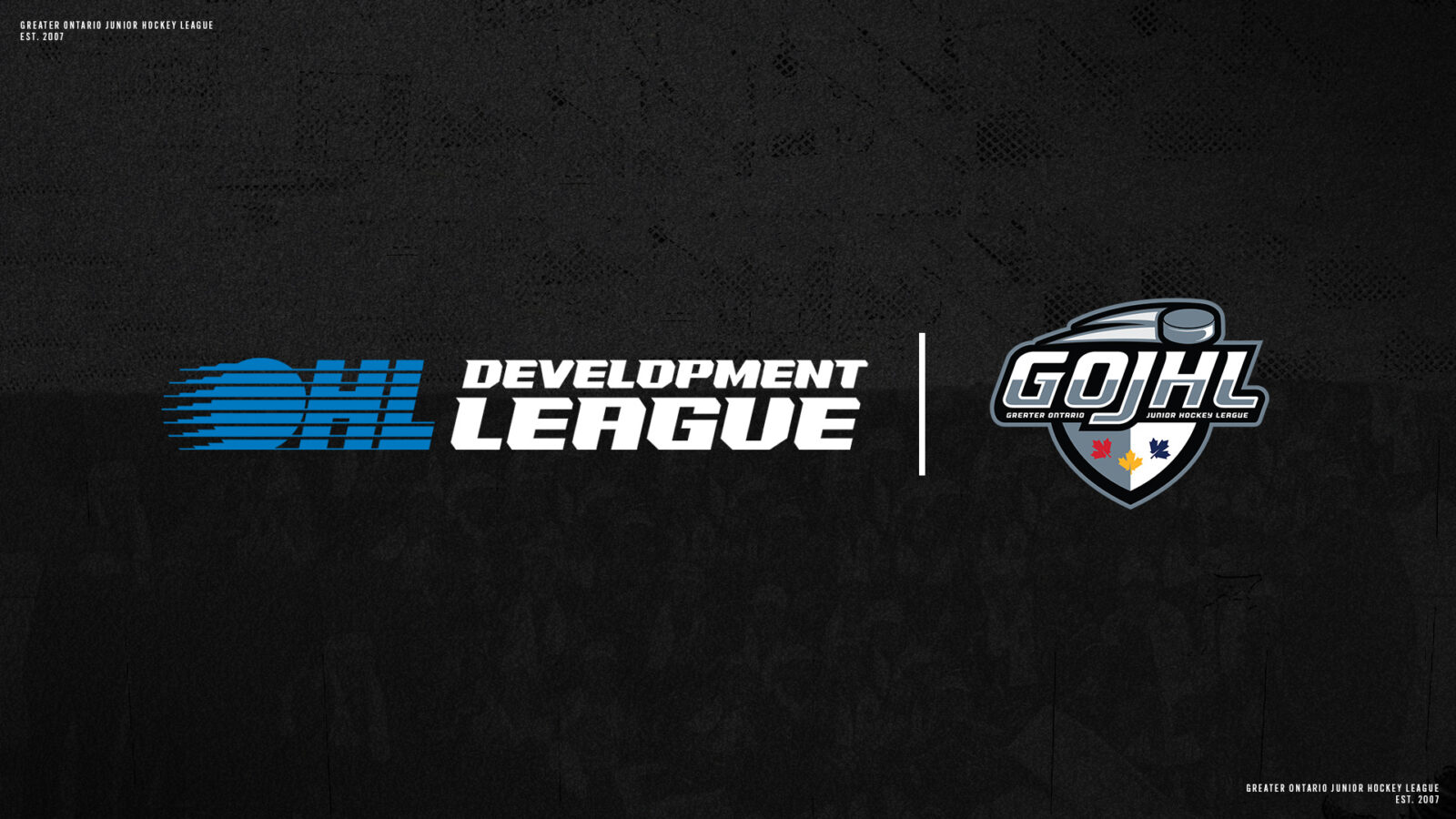 League Announces Name Change to GOHL, Rebrand, and Strengthened ...