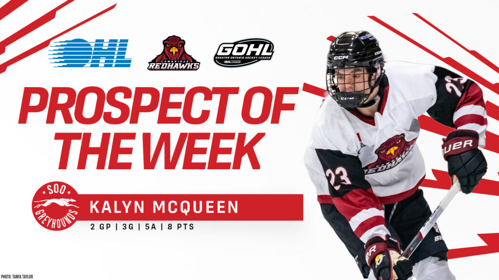 GOJHL RELEASES 2023-24 REGULAR SEASON SCHEDULE | GOHL | Greater Ontario ...